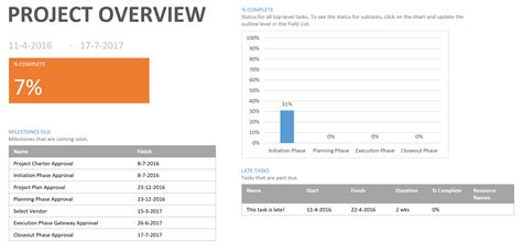 Ms Project Report Templates