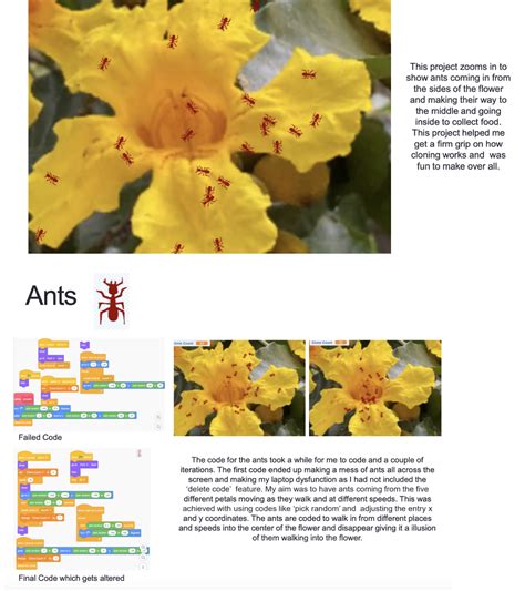 G N Lavanya Sahi Srishti Manipal Institute Of Art Design And Technology