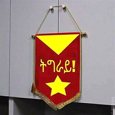 ጋንታ ኩዕሶ እግሪ ኣግኣዚ ማራይ