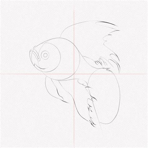 How To Draw A Fish A Step By Step Tutorial Artlex