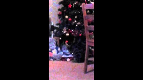 Tinkerbell Cat Youtube