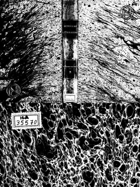 Honduras Literaria Rómulo E Durón Pdf