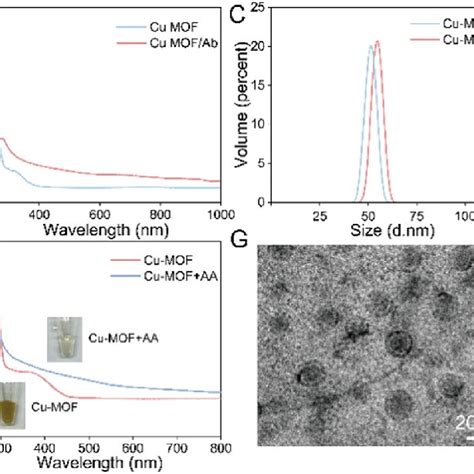 Characterization Functionalization And Dissociation Of Cu Mof A Tem Download Scientific
