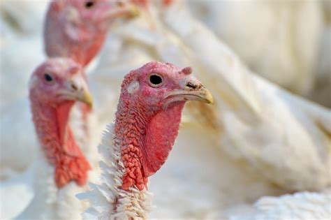 Vertical Align By Fields In Excel Articles Ibi Community