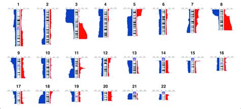 Genome Wide Frequency Plot Of Copy Number Alterations Copy Number