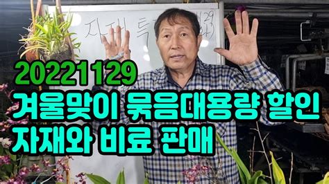 겨울맞이 식물 자재와 비료 판매 묶음대용량 할인 화분 떨이판매 Youtube