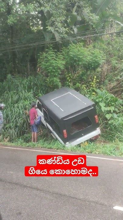නින්ද ගිහින් Youtube