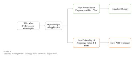 Figure 5 From Artificial Intelligence Driven Prognostic System For Conception Prediction And