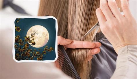 Місячний календар стрижок на березень найкращі дні для змін