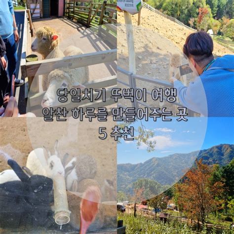 당일치기 뚜벅이 여행 알찬 하루를 만들어주는 곳 5추천 네이버 블로그