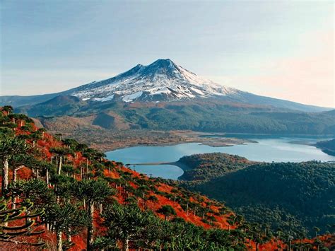 Parque Nacional Conguillio All You Should Know Before Going 2026