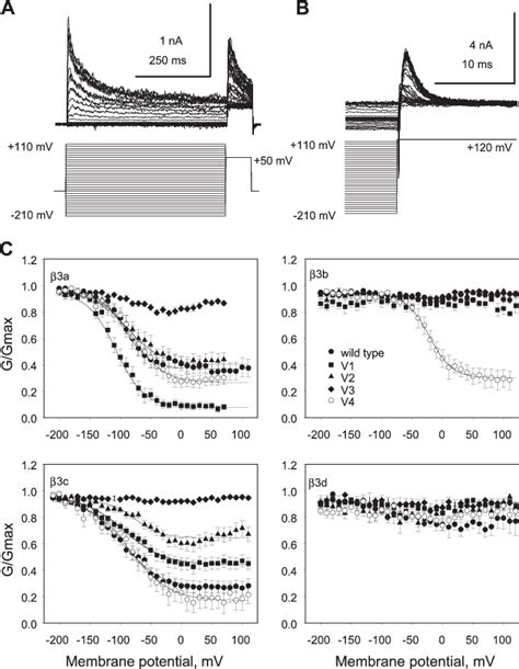 Steady State Inactivation Of Potassium Currents Recorded From