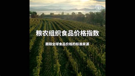 联合国粮农组织食品价格指数视频介绍 Youtube