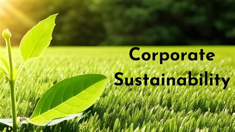 The Importance Of Eco Friendly Products For Corporate Sustainability