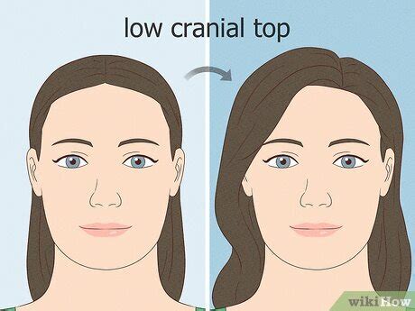 What Is A Low Cranial Top Cranial Height Explained