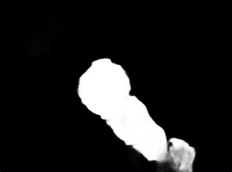 Size Invariance Matters Rethinking Metrics And Losses For Imbalanced Multi Object Salient