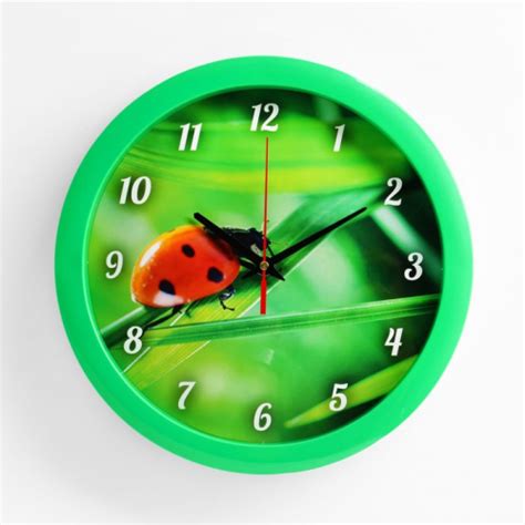 Часы настенные серия Природа Божья коровка плавный ход D 28 см