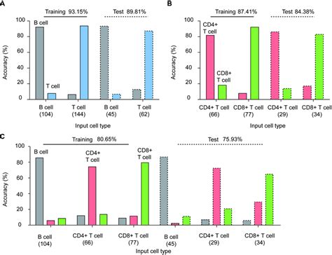 Label Free Identification Of Lymphocyte Subtypes Using Three Dimensional Quantitative Phase