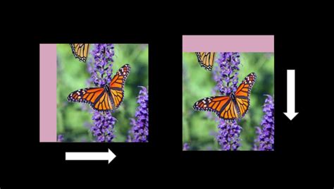 Add Camera Shake Effect To Images With Python