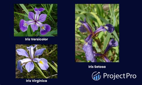 Top 5 Pattern Recognition Projects