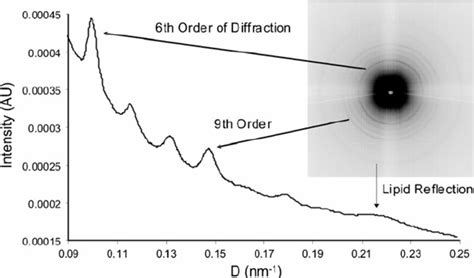 Two Dimensional Diffraction Image From Sample Or10 From 1731 No Download Scientific Diagram