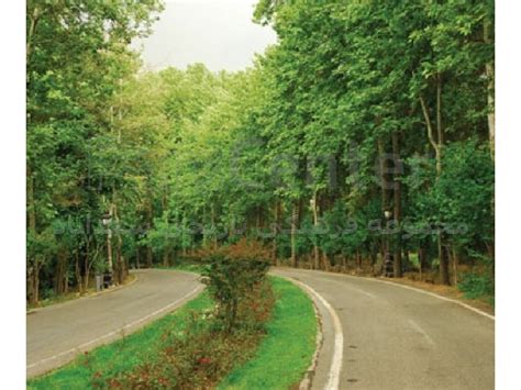 باغ موزه سعدآباد خدمات تور داخلی در پارس سنتر