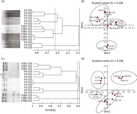 Clustering And Mds Ordination Data Of The 16s Rdna A And B And The