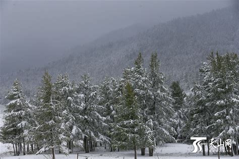 高清组图巴里坤县迎来今秋第一场雪 新闻中心 天山网