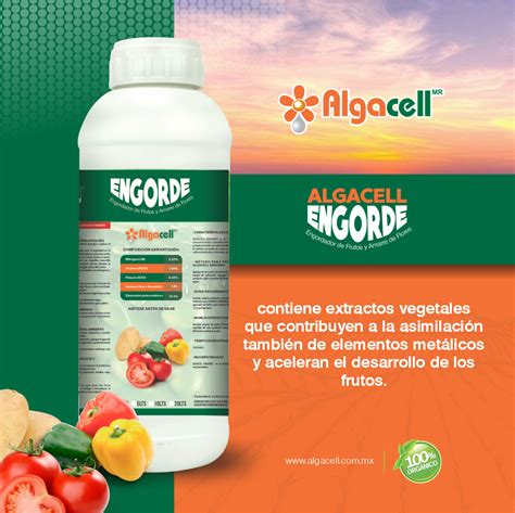 Algacell Algacell Engorde Es Un Producto Basado En Una Solución De