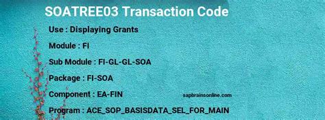 SOATREE03 SAP Tcode For Displaying Grants