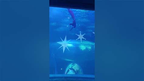 인어공주 Youtube