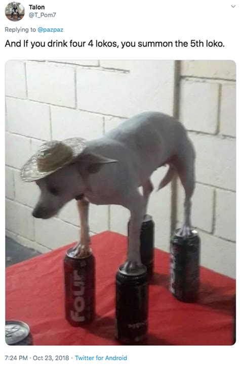 And If You Drink Four 4 Lokos You Summon The 5th Loko Chihuahua In