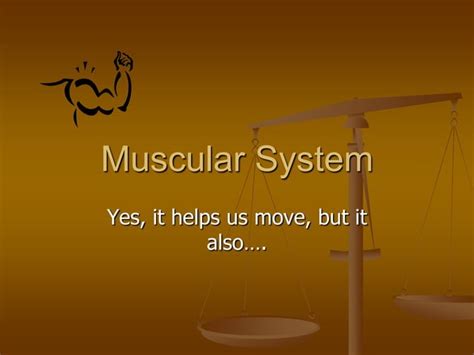 Muscular System Ppt