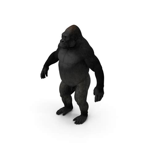 Rule 64 Gorilla Png Images And Psds For Download Pixelsquid