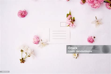 봄의 섬세한 포스트 카드는 분홍색과 흰색 꽃으로 모의 여성의 날 초대 낭만적 인 결혼식 생일 어머니의 날 카드 개념 공간을 복사합니다 위에서 보기 0명에 대한 스톡 사진 및