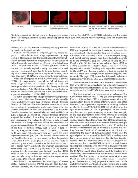 deep convolutional neural networks with spatial regularization volume