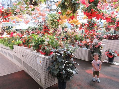 広島市植物公園広島県広島市安佐南区3 何でも見てやろう瀬戸内海の小さな旅