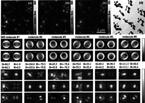 Comparison Of The Orientations Of Emission Dipoles And Absorption Download Scientific Diagram