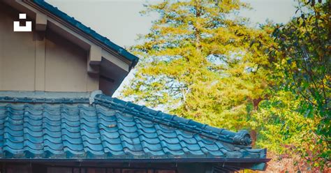 파란색 지붕과 그 앞에 간판이있는 작은 건물 사진 Unsplash의 무료 카페 이미지