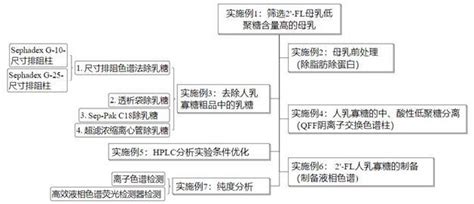 一种2 岩藻糖基乳糖的制备方法及制备的标准品与流程