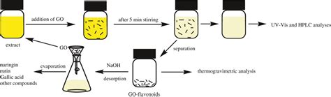The Procedure Of The Adsorption Process Of The Different Compounds From Download Scientific