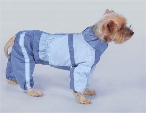 Сшить собаке комбинезон (71 фото) - картинки sobakovod.club