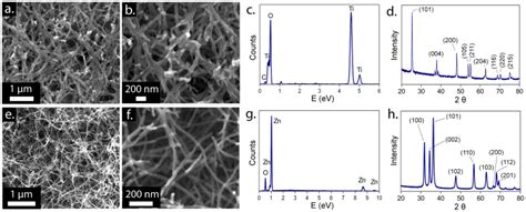 A B Sem Images C Edx Spectrum And D Xrd Pattern Of Tio2 Download Scientific Diagram