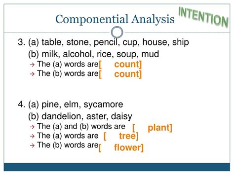 Ppt Semantics Powerpoint Presentation Free Download Id1400907 Ppt Semantics Powerpoint Presentation Free Download Id1400907