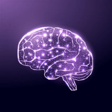 Cortex And Cerebral Functional Areas Of The Cerebral Cortex Antranik