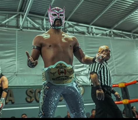 File Fileangel Luchawiki