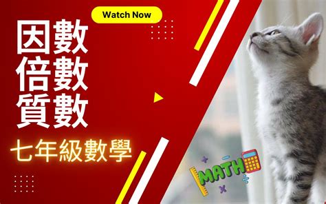 列出2到50的所有整数，依下列步骤进行： 步骤一：留下2，删去2的倍数得2、3、5、7、9…… 步骤二：留下3，删去3的倍数得2、3、5、7