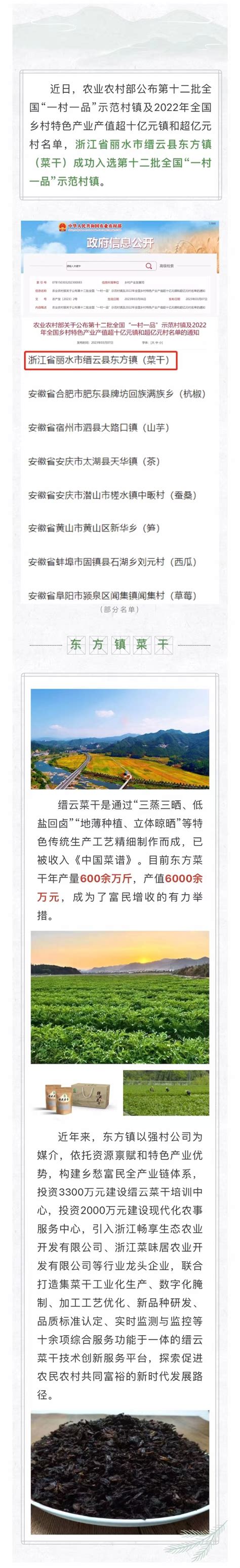 喜讯！缙云东方镇（菜干）入选第十二批全国“一村一品”示范村镇！