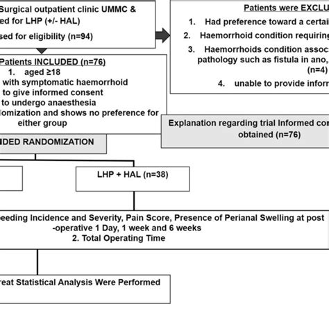 The Randomized Control Trial Consort Diagram Download Scientific Diagram