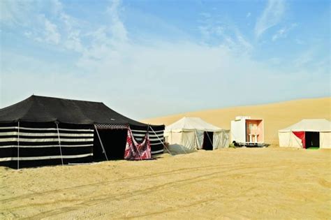 لجنة الجهراء تبحث منطقة تخييم شمالاً جريدة الجريدة الكويتية